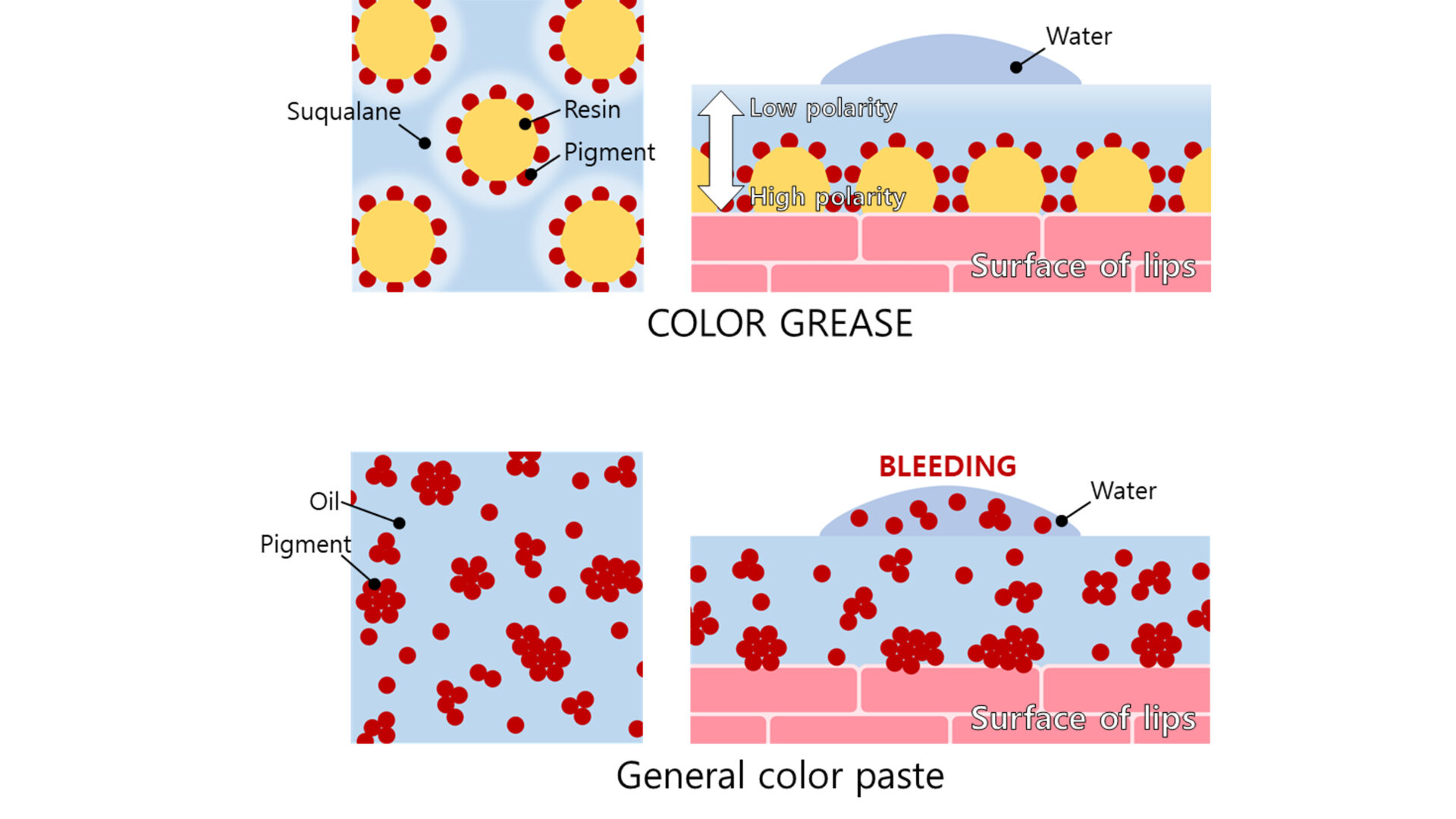 Natural Wax Series (EN) – Noupotentia Japan Co., Ltd.