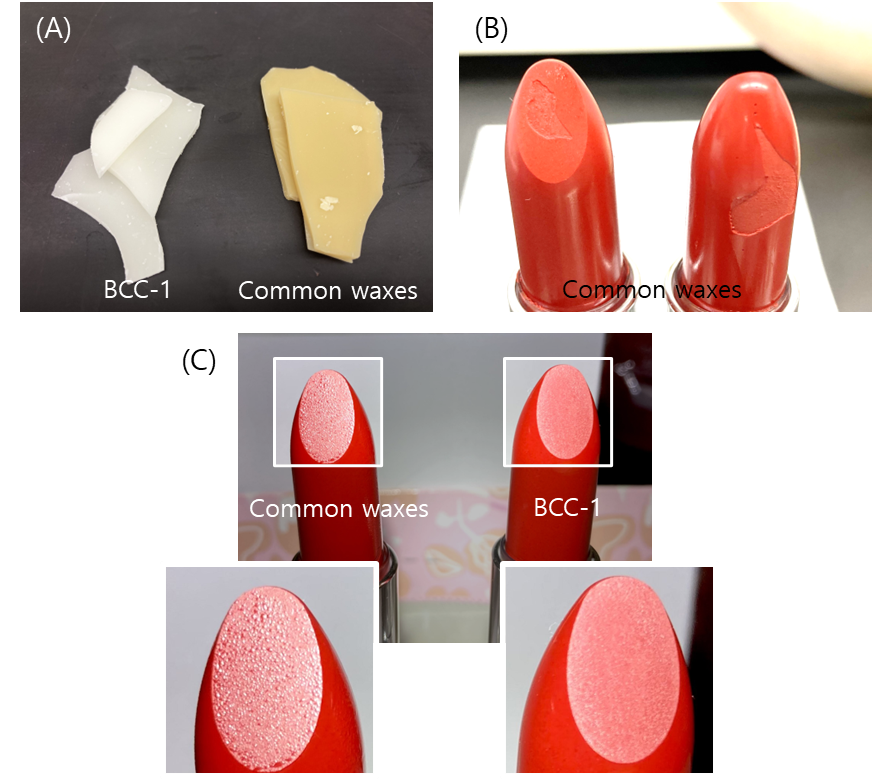 Natural Wax Series (EN) – Noupotentia Japan Co., Ltd.